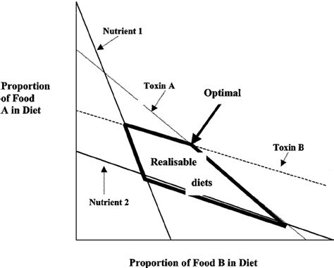 linear programming model for dietary choice the range of realizable
