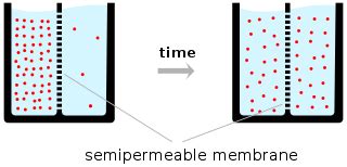 Diffusion Coefficient Units Equation Lesson Study Com