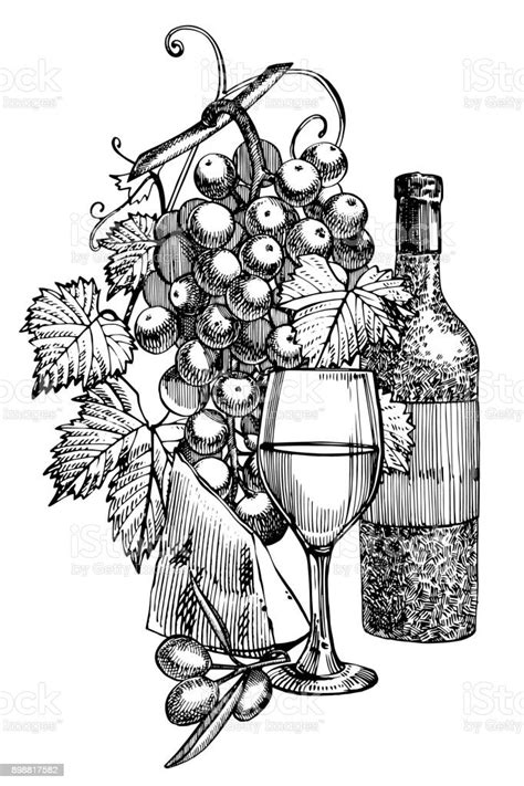 와인 두 잔 파 르 마 치즈 포도 올리브 잎의 병의 구성 핸드 그린 스타일 일러스트 조각입니다 와인 빈티지 배경 배너입니다 0