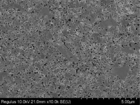 Typical Nano Sized Wc Reinforced Mmc Containing 10 Binder Wt Download Scientific Diagram