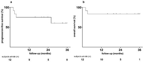 Combining Beeam With Brentuximab Vedotin For High Dose Therapy In Cd30