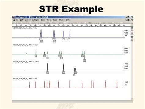 Ppt Dna Fingerprinting Powerpoint Presentation Free Download Id