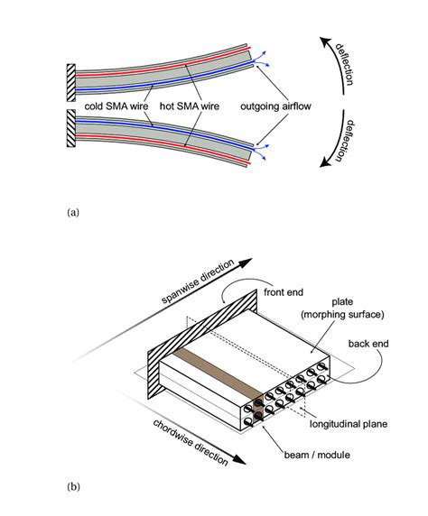 4 Bidimensional Concept Of The Morphing Beam A And The Download Scientific Diagram