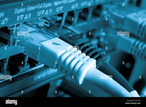 Network Cables Connected To Hub Stock Photo Alamy