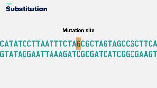 Substitution Mutation