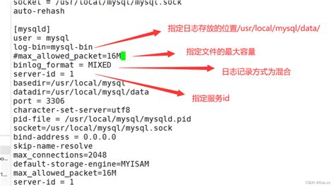 mysql数据库之备份和恢复 数据库全量备份与恢复 CSDN博客