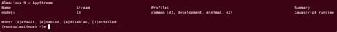Different Ways To Install Node Js On AlmaLinux