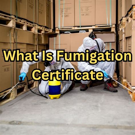 What Is Fumigation Certificate Connecting India Exim Solution