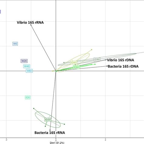 Principal Component Analysis Pca Based On Euclidean Distances Download Scientific Diagram