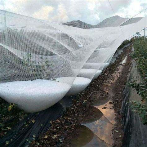 100 Virgin Hdpe Anti Hail Net 60gsm Hail Protection Net Bird Net And
