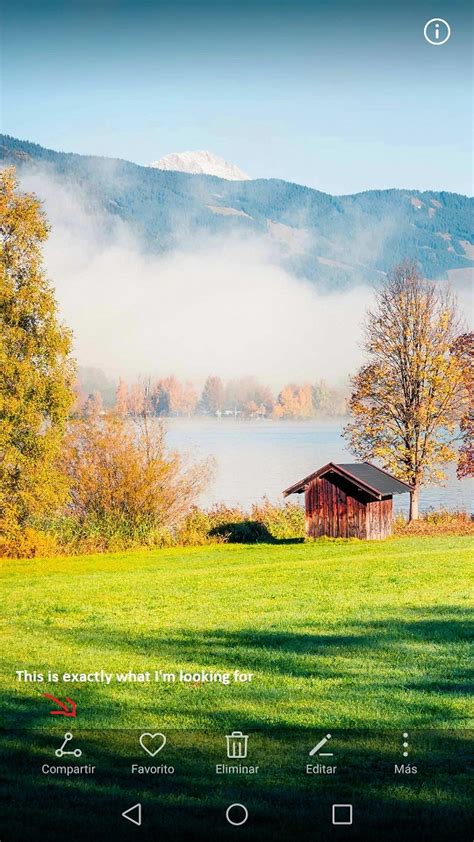 Mobile Flutter Showhide Options Bar Over Pdf Viewer Stack Overflow