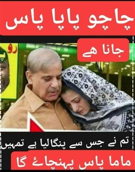 zulfiqar ali khan posted on linkedin