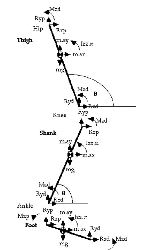 inverse dynamics