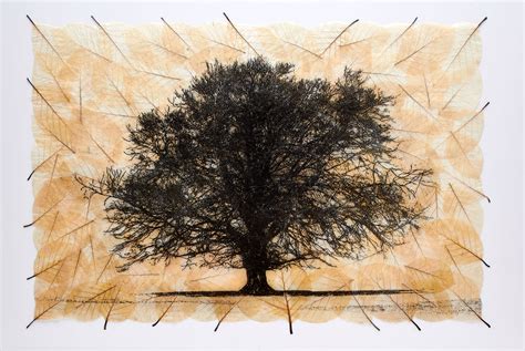 The Architecture Of Trees Emma Buckmaster