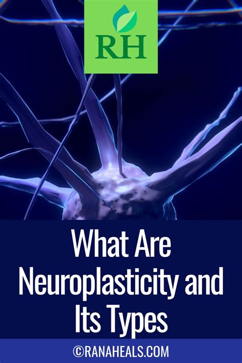 What Are Neuroplasticity And Its Types Neuroplasticity Psychology Type