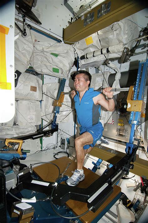 Astronaut Exercising On The Iss Photograph by Nasa
