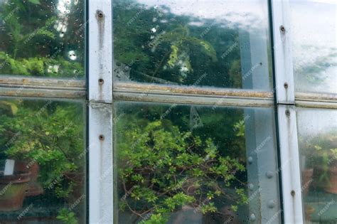 Premium Photo Section Of A Glass Wall Of A Tropical Flower Greenhouse