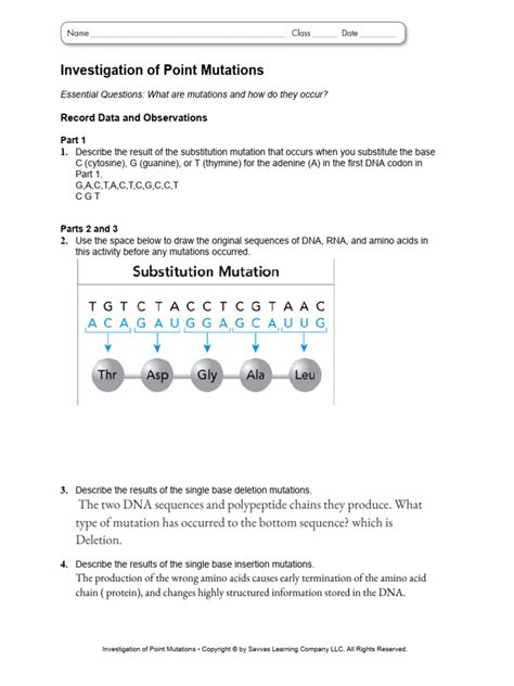 Mutation Investigation Pdf