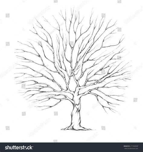 1 239 Imágenes De Tree Sketch Without Leaves Imágenes Fotos Y