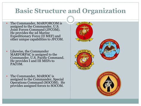 Ppt Usmc Structure And Organization Powerpoint Presentation Free Download Id 1832382
