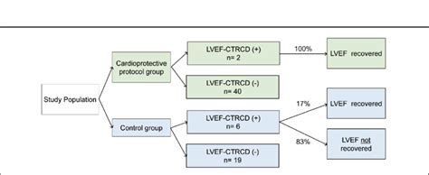Left Ventricular Ejection Fraction Lvef Recovery 1 Year From The Download Scientific Diagram