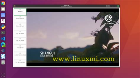 Hypnotix 通过Linux Mint开发的IPTV播放器观看直播电视 Linux迷