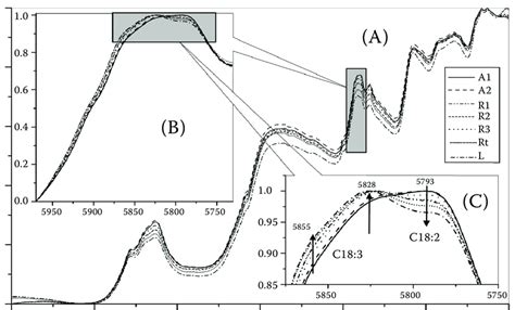 Average Normalized Ft Nir Spectra Of Whole Seeds A And The Region Download Scientific Diagram
