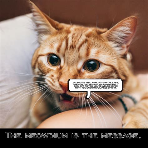 Marshall Mcmeow Has An Opinion Album On Imgur