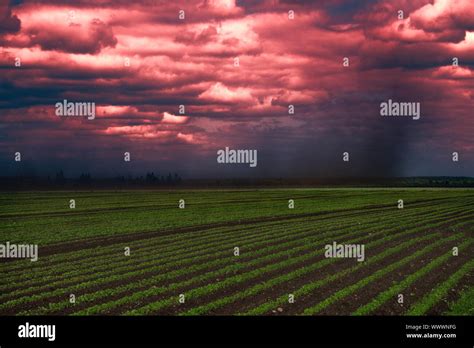 Everything Is Drowning In Dense Stream Of Dust Stock Photo Alamy
