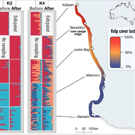 Population Genetic Structure Inferred By Structure V 234 Download Scientific Diagram