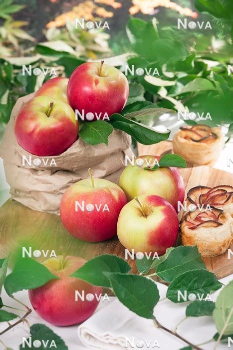 Malus Domestica Jonagold