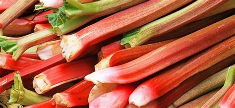 Preserving Spring Foods Easier Than You Think Andrew Coppolino Cbc News