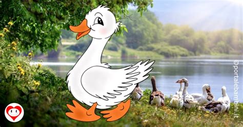 Oche Da Colorare Stampa Gratis Portalebambiniit