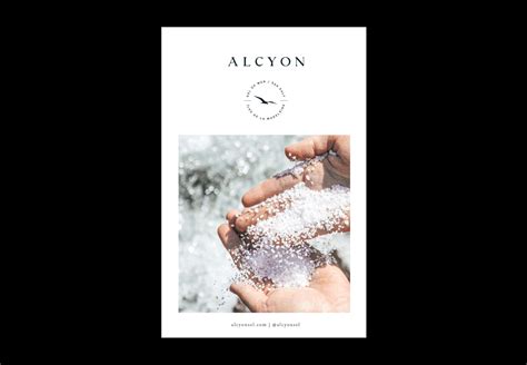 26 Alcyon Brand Identity Packaging Of The World