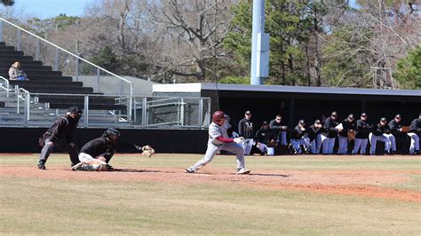 Matt Yip Baseball Molloy University Athletics