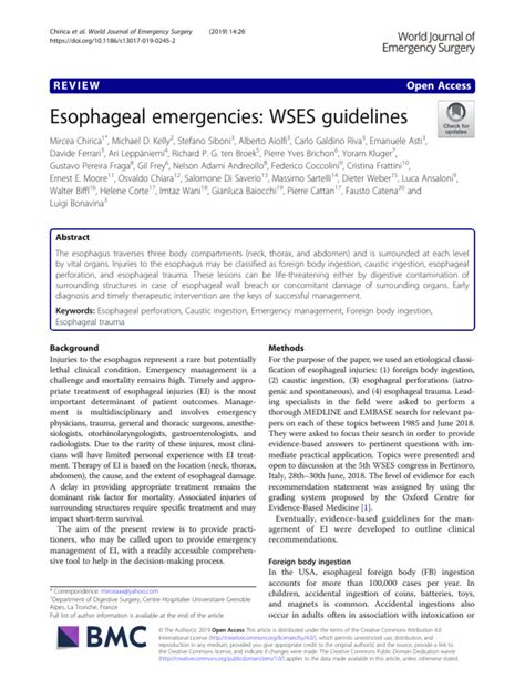 Wses Guidelines Pdf