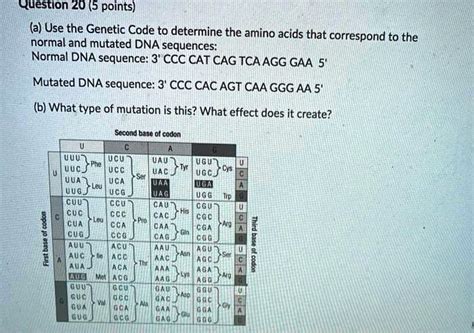 Solved Question 20 5 Points A Use The Genetic Code To Determine The Amino Acids That