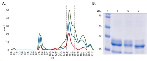 Protein Quantification From Size Exclusion Chromatography A Overlaid Download Scientific