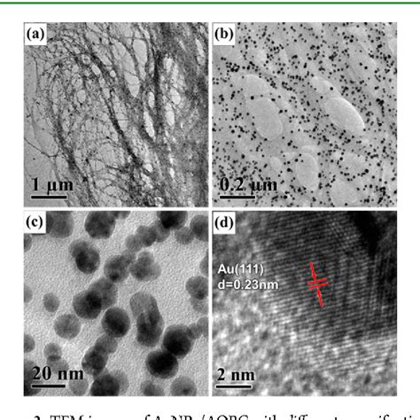 Figure 3 From Bacterial Cellulose Supported Gold Nanoparticles With