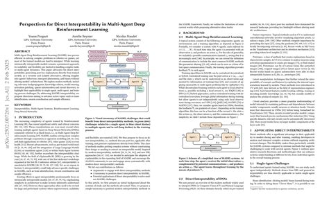 Perspectives For Direct Interpretability In Multi Agent Deep
