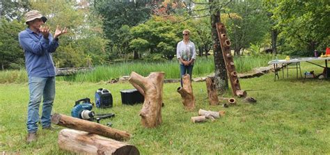 Billy Gruner On Linkedin This Week We Learned About The Loss Of Tree Hollow Roosts For Black…