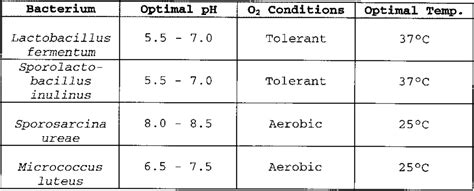 Table 2 From Gs 5 Comparison Of Aspartate Transcarbamoylase And