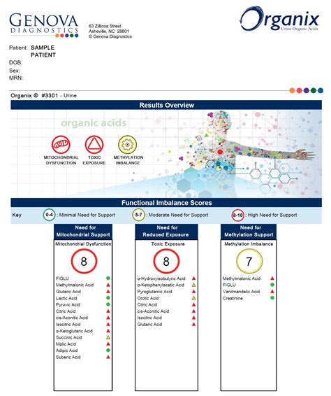 Organic Acids The Functional Medicine Center