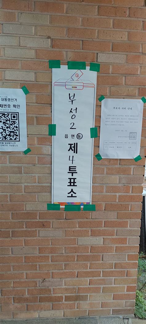 투표함 정치시사 에펨코리아