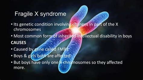 Sex Linked Inheritance Diseases Pptx Infertility Reproductive Health