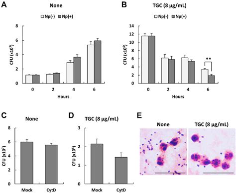 Numbers Of Viable Multidrug Resistant Acinetobacter Baumannii Mdrab