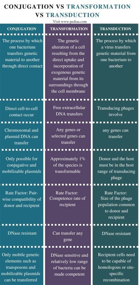Understanding The Differences Between Conjugation Transformation And Transduction