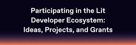 Participating In The Lit Developer Ecosystem Ideas Projects And Grants