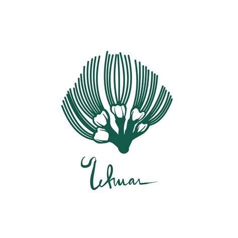 Lehua Botanical Vector Illustration 36143900 Vector Art At Vecteezy