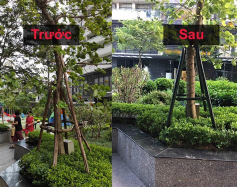 Đánh Giá Hiệu Quả đầu Tư Cột Chống Cây Xanh Trong Dài Hạn